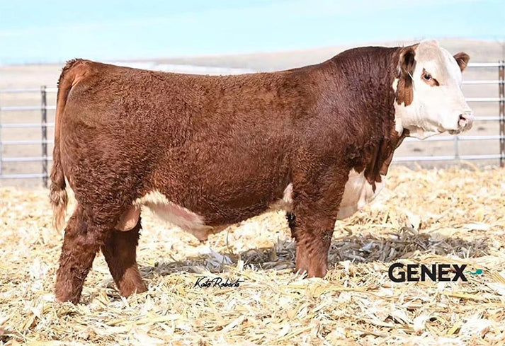 BAR JZ On Demand – Genesource, LLC